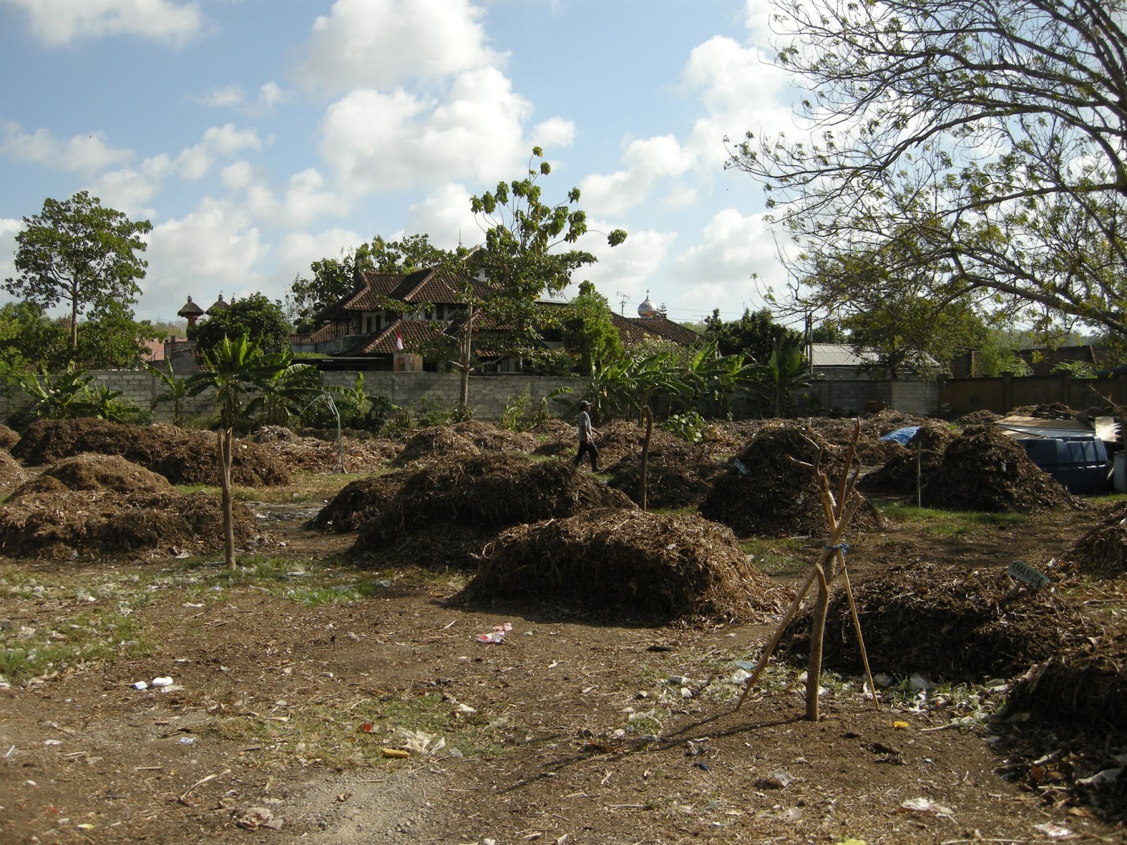 envist2: Windrow Composting