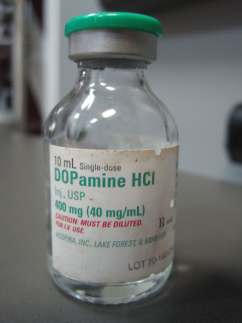 Dopamine and Dobutamine Computation ~ PHILIPPINE NURSE