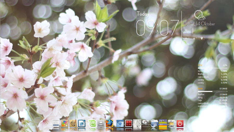 Pengaturan Theme Desktop Linux Serba Pink dan Abu-Abu - Yeah Idoo