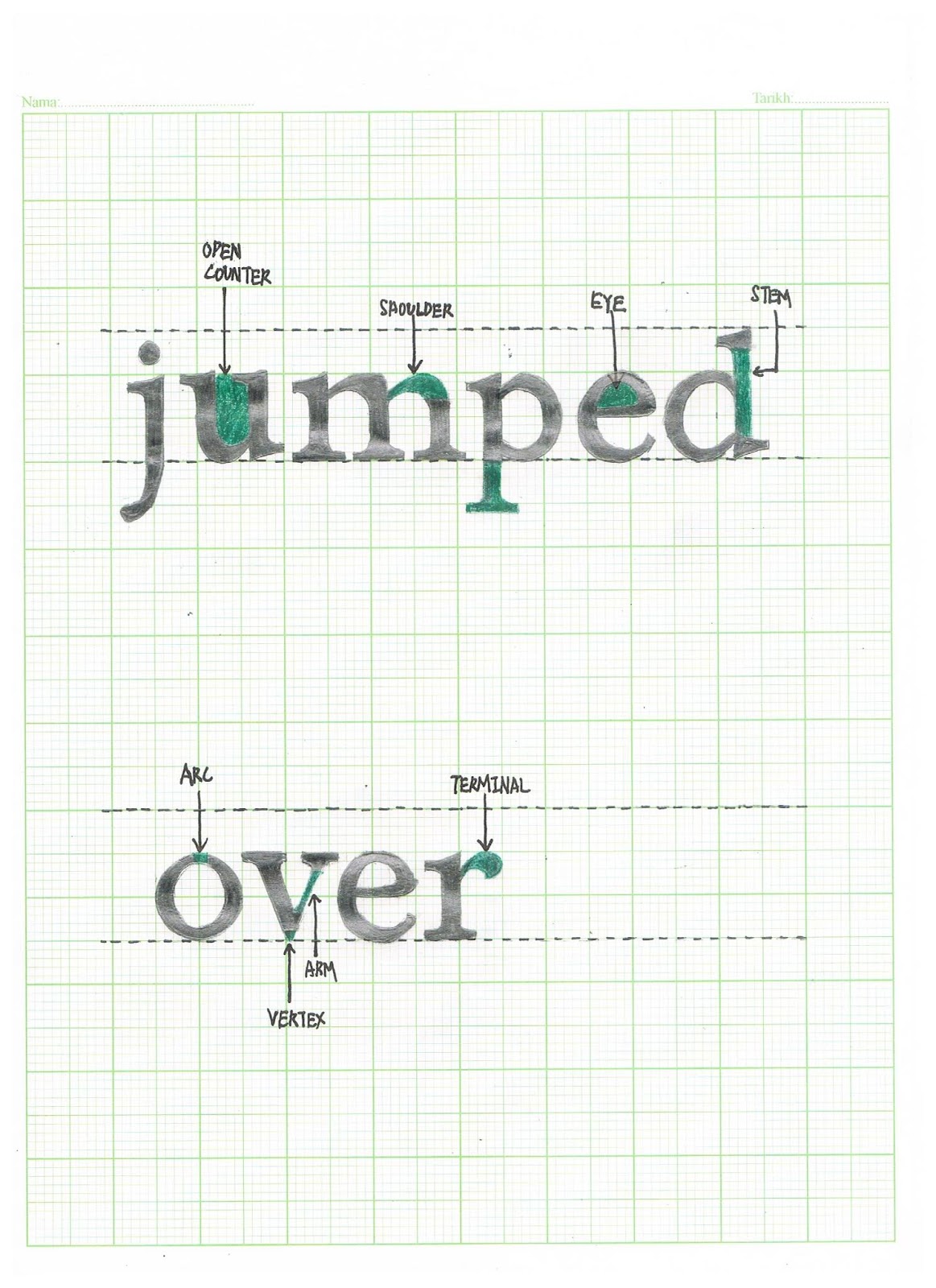 Digital Typography - Anatomy