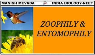 ZOOPHILY & ENTOMOPHILY