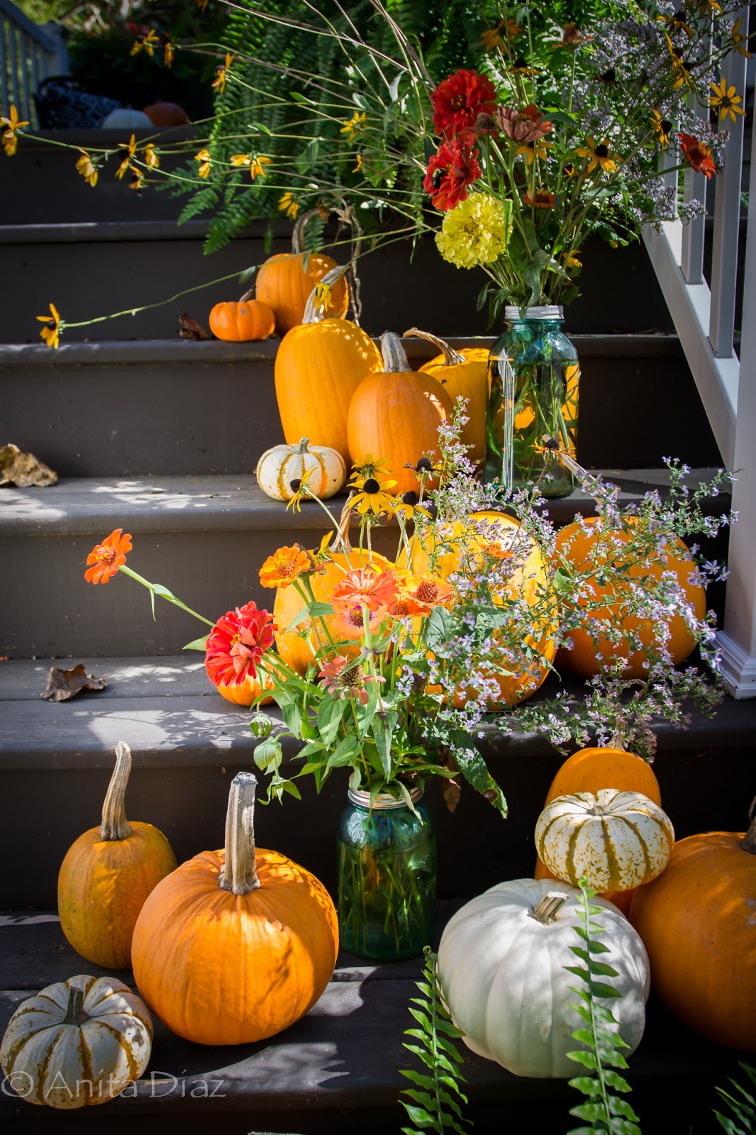 Mountain farmhouse fall steps - Whispering Pines Homestead