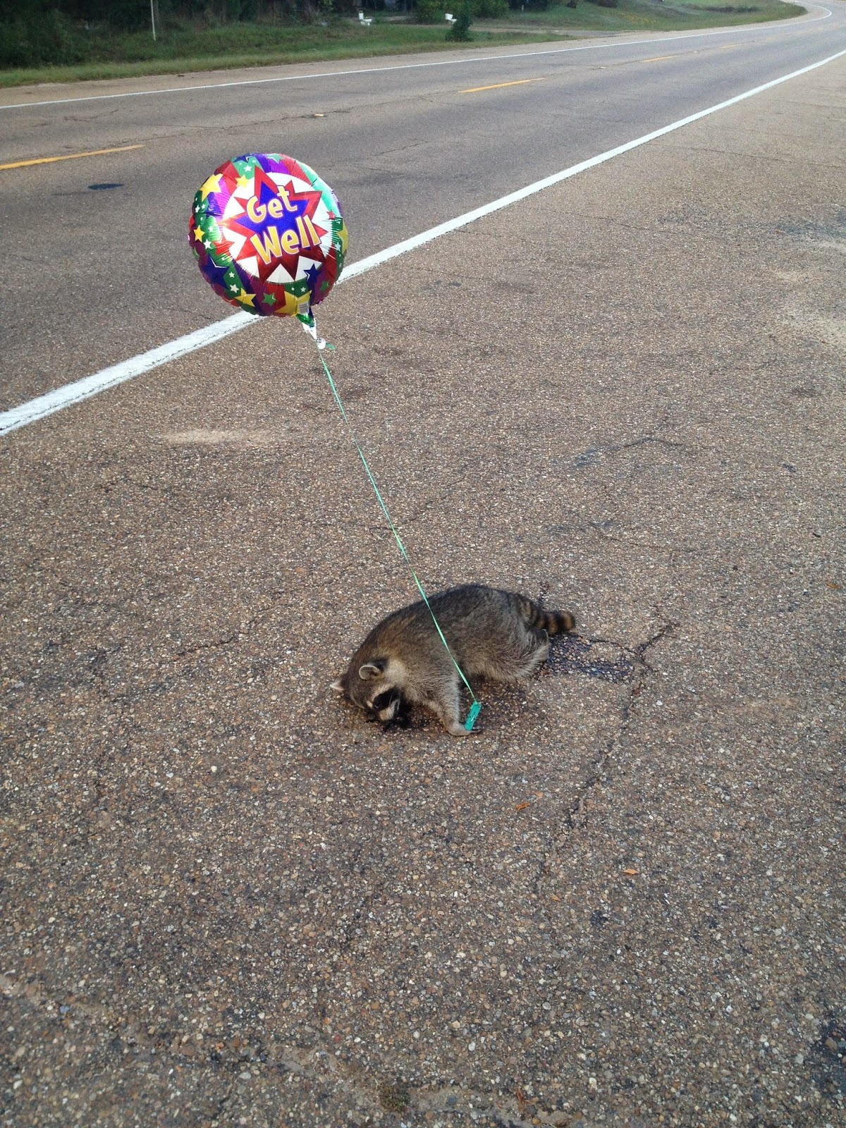 Deformutilation: Roadkill Balloons Part III and a Spot of Graffii