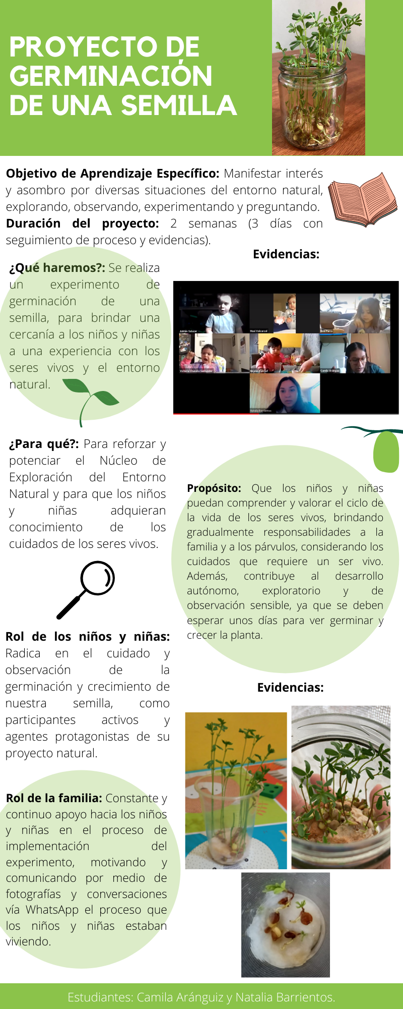 Sala Cernícalo - Proyecto de germinación de una semilla