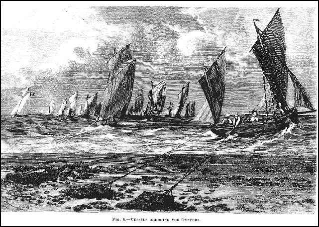 EL BLOG DE SARA: La ostra a lo largo de la Historia