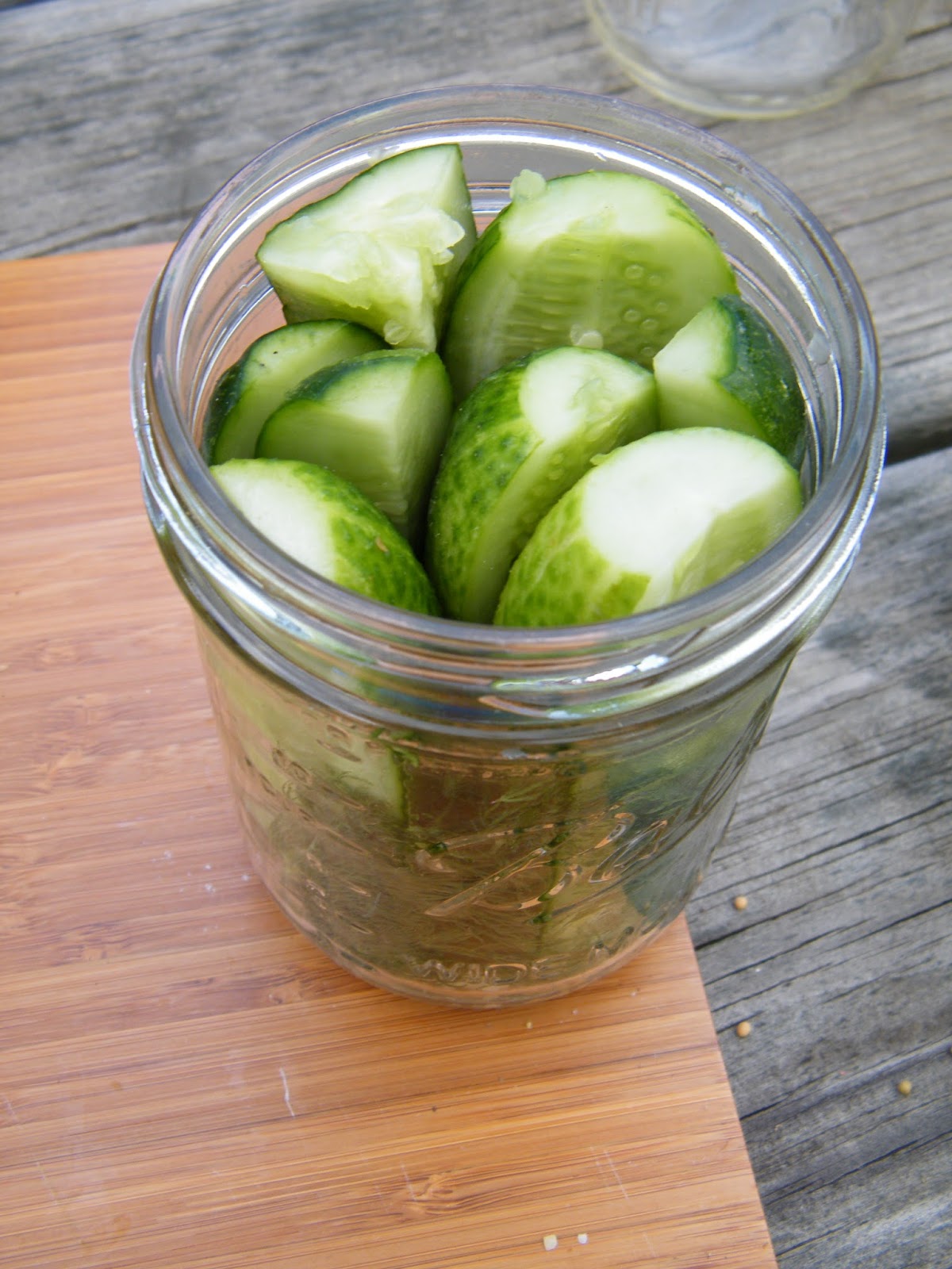 Veronica the Lazy Diva's Quasi-Crafty Blog: Waiting for my Sour Pickle ...