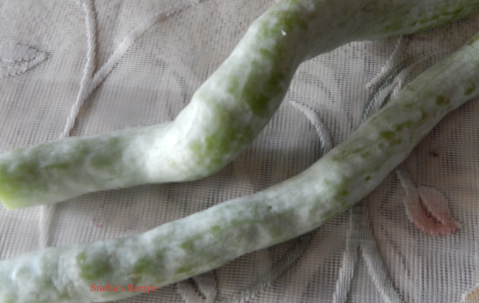 Snake Gourd ( Long Padwal) Sabzi - Sneha's Recipe