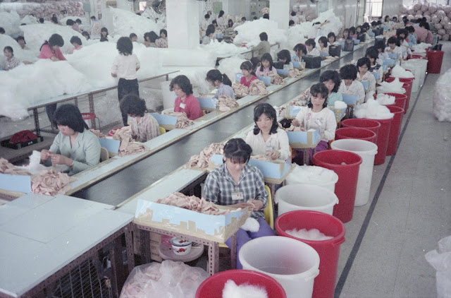 The Story of the Cabbage Patch Kids Craze of 1983 ~ Vintage Everyday