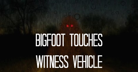 Phantoms and Monsters - Real Cryptid Encounter Reports - Fortean ...