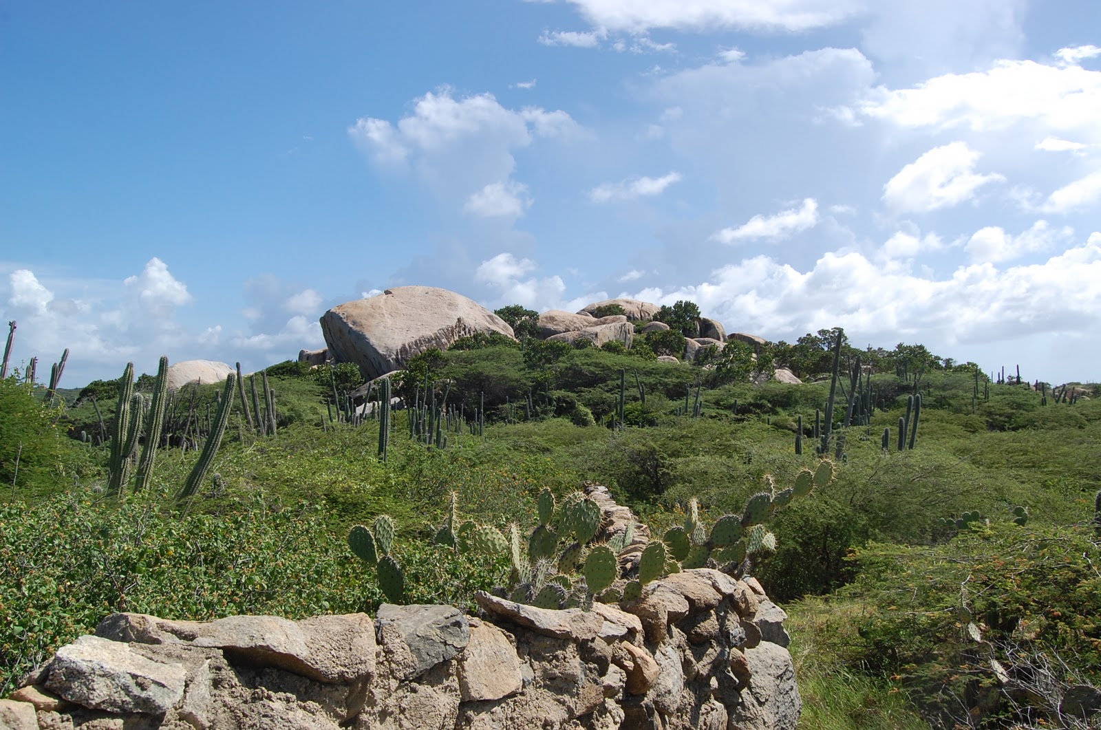 Rich Harrill's Aruba: Ayo Rock Formations