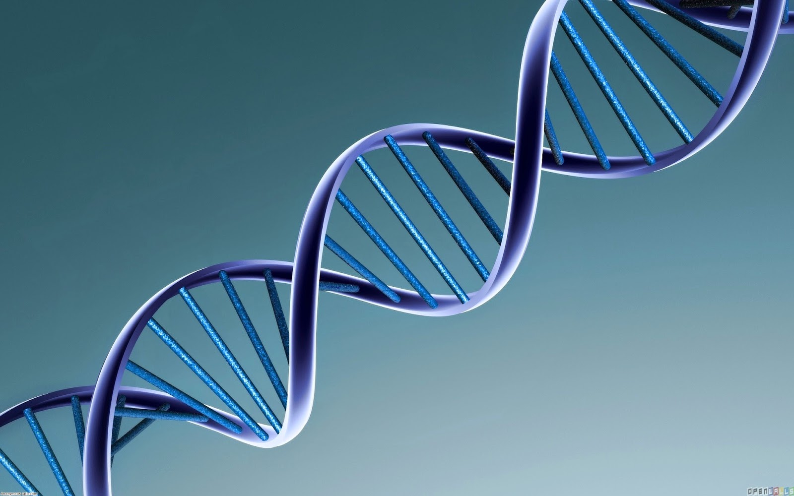 Gayle's Family History: DNA Sequences Can Trace Your Ancestors to ...