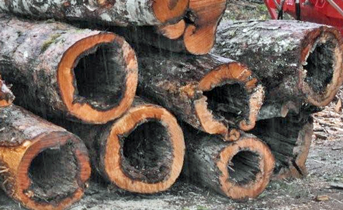 Frank Rhyno's Valley Firewood: 3. Wood Info and Burning Hazards