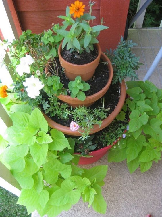 20+ Amazing Diy Garden Pot ideas On Low Budget | ARA HOME