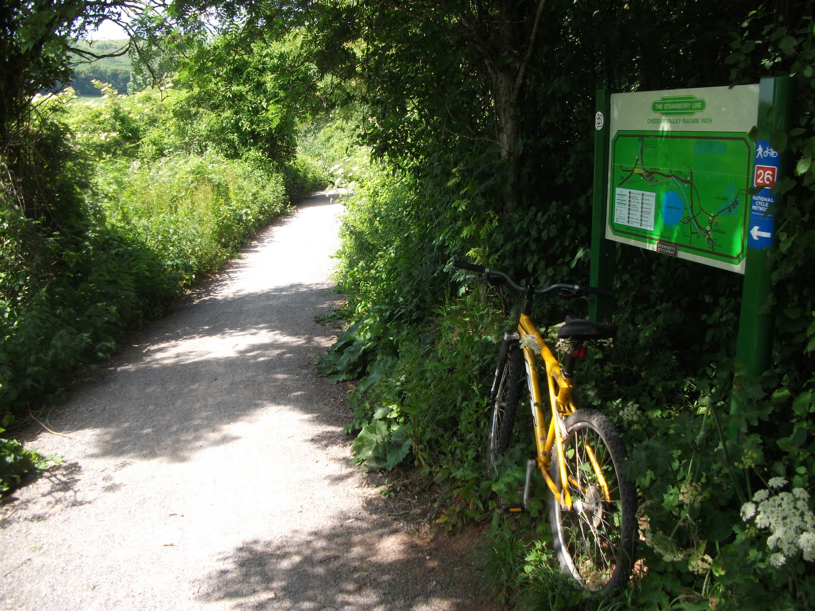 Strawberry Line Times