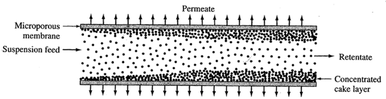 RMC Pharmaceutical Solutions Blog: TFF Under Pressure