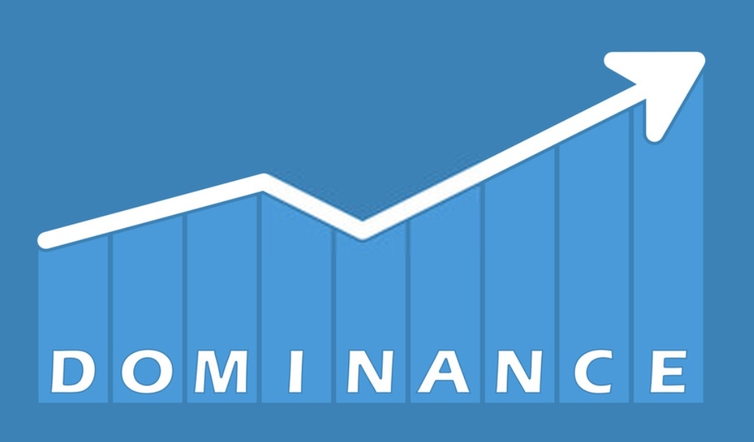 Apa itu Dominasi (kontrol)? Karakteristik orang-orang dari kelompok ...