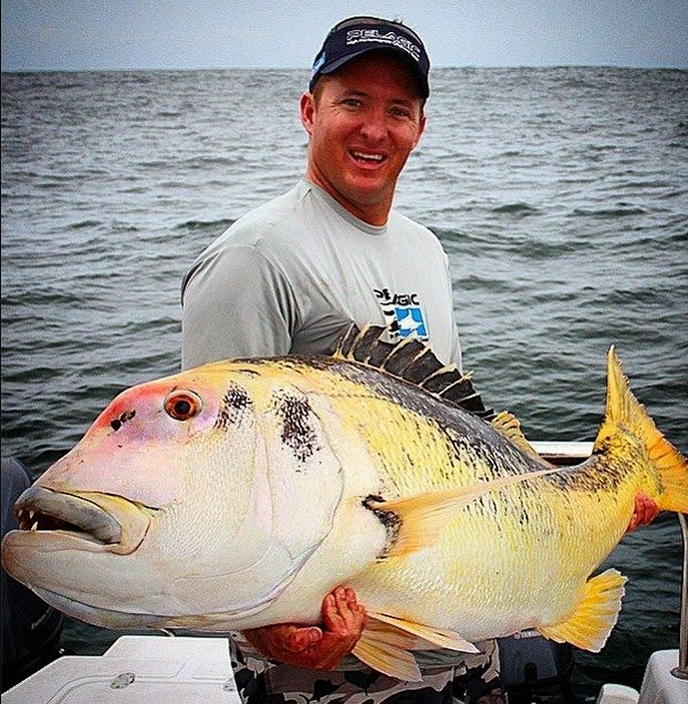 Big Fishes of the World: RED STEEMBRAS (Petrus rupestris)