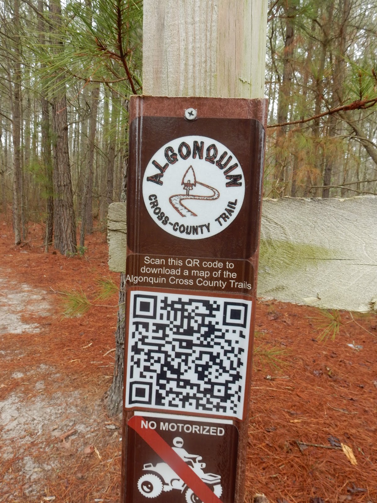 Natural Mid-Atlantic : MD Pocomoke State Forest, Algonquin Cross County ...