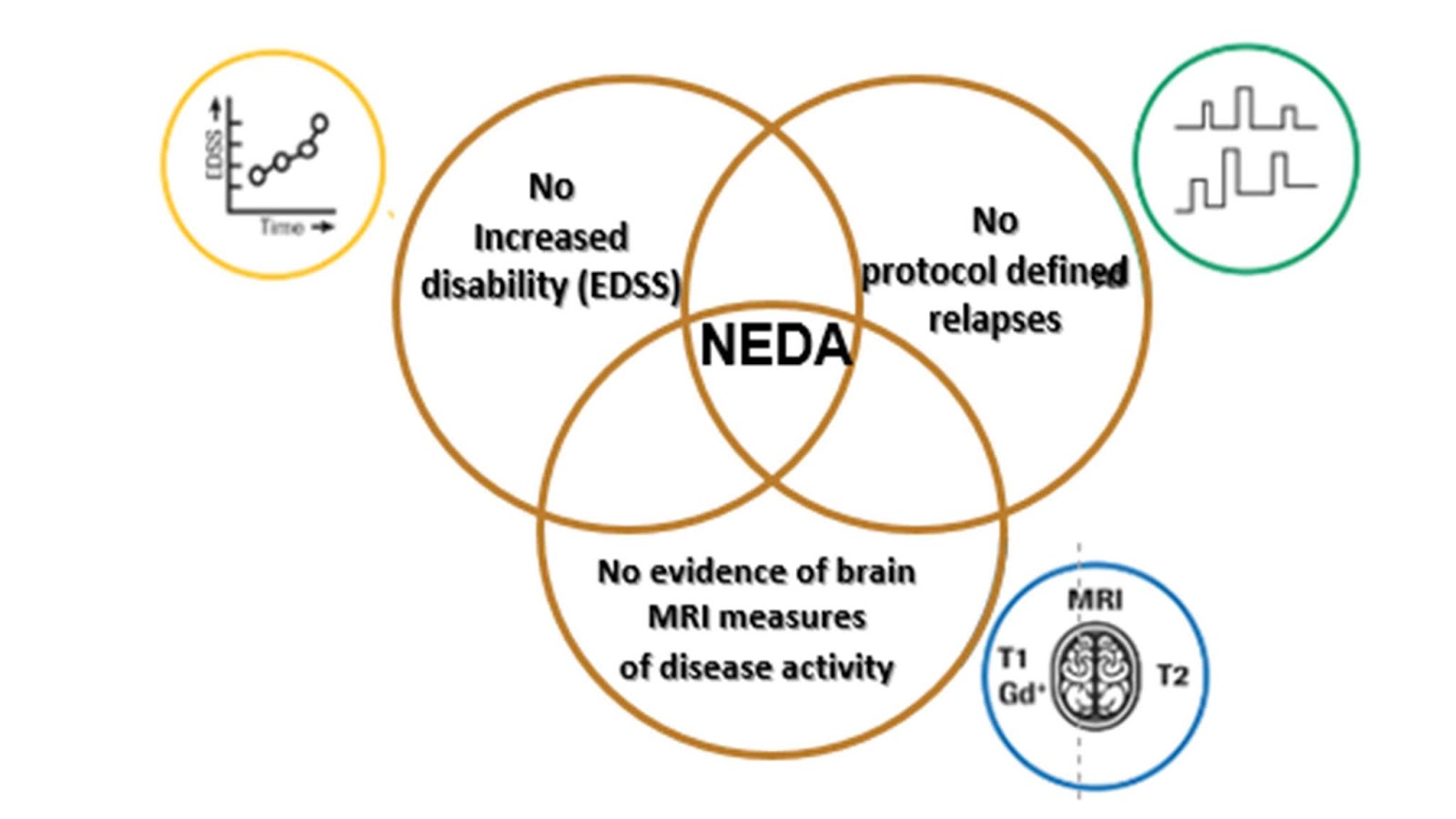 Multiple Sclerosis Research: NEPAD (knee pad) is a new way to view ...