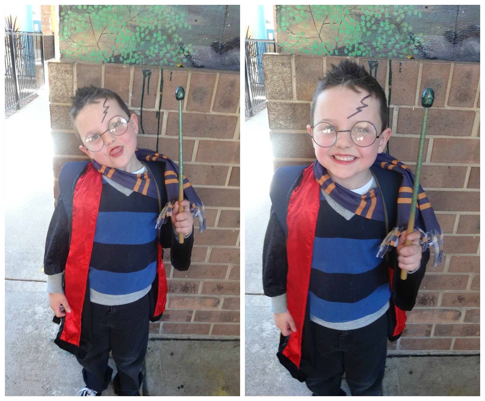 The Old Fat Hen: Little Harry Potter