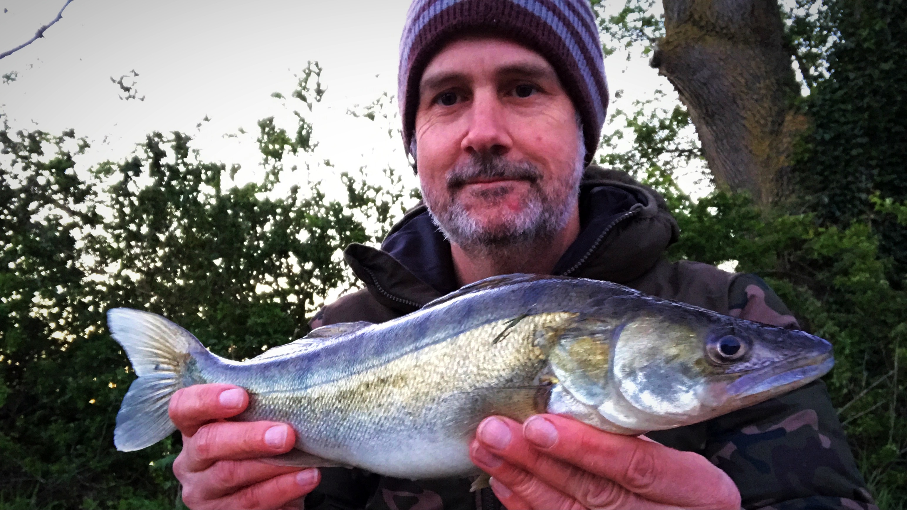 Piscatorial Quagswagging: The Close Season Zander Quest Pt.201 ...