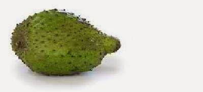 Medicinal Plants: SOURSOP aka GUYABANO