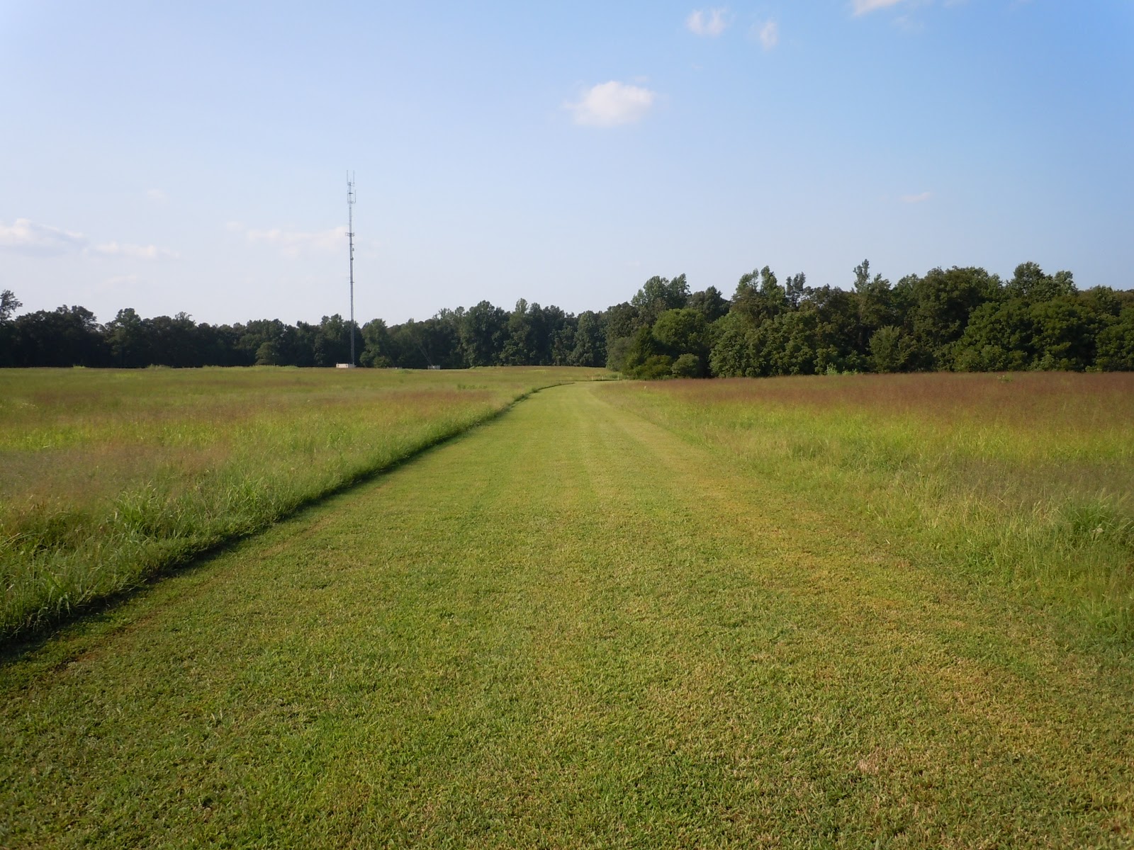 Pole Green Road at Alice Manning blog