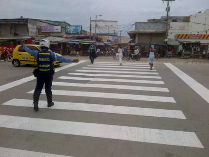 Conducir Con Normas: LAS CEBRAS