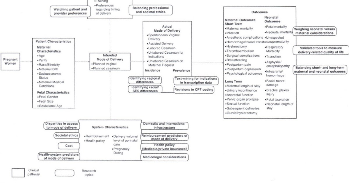 Ph.D. Realities: The Dissertation Mentor: Chapter 2: Theories and ...