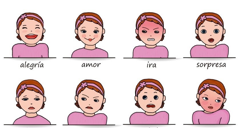 "El Sentido de la Vida": Las Emociones y los Sentimiento.