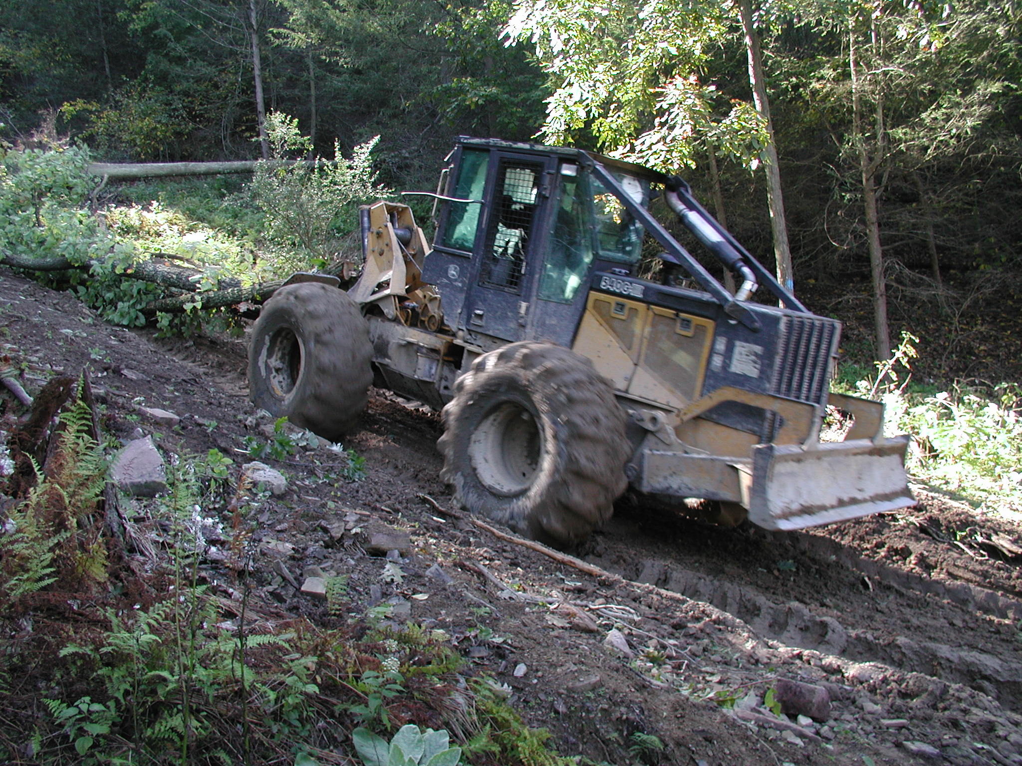 Central Pennsylvania Forestry: 2021