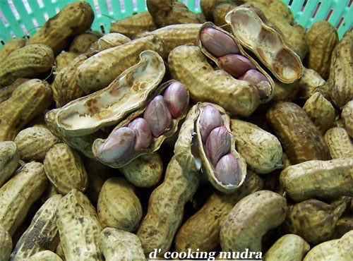 Panlasang Pinoy: Mani