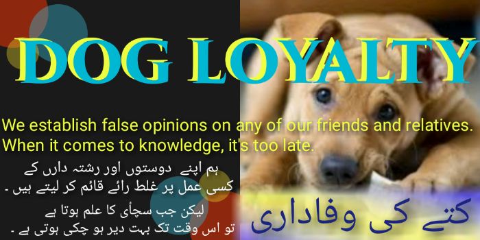 My Dog is Disloyal | newsboxwithazi