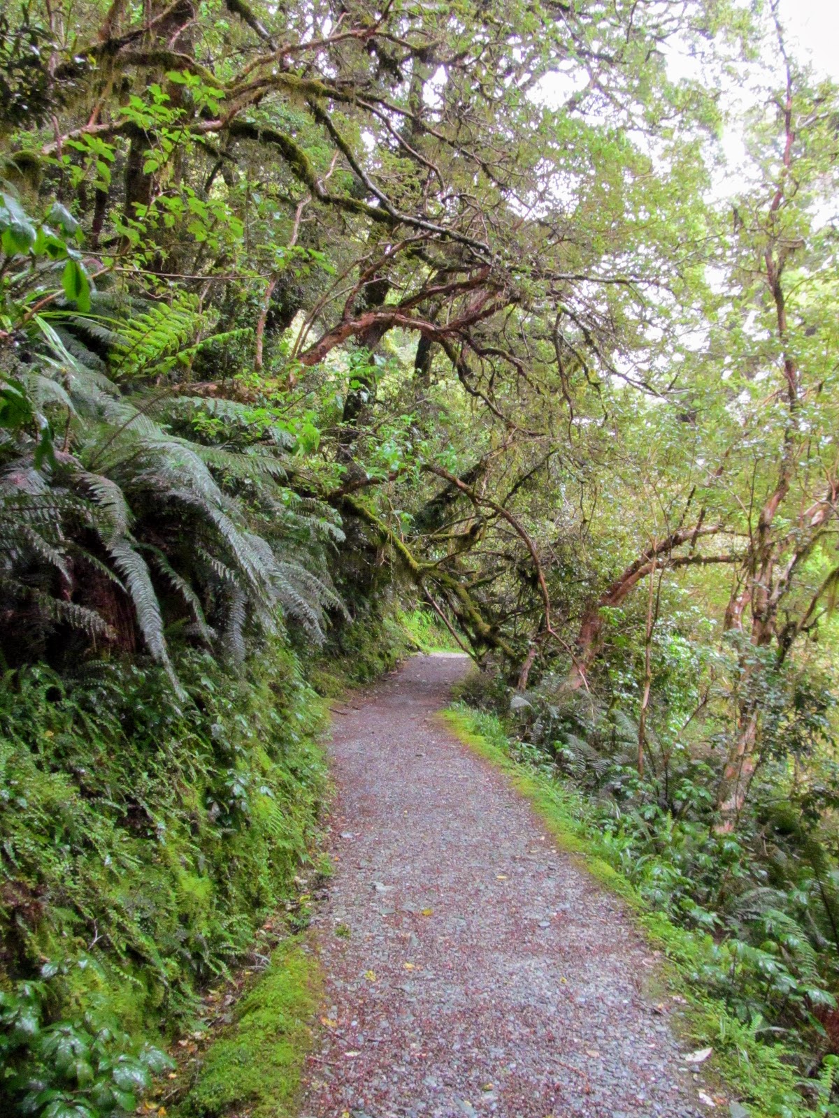 Tramping in the New Zealand backcountry: NZ Bush Adventures: Routeburn ...