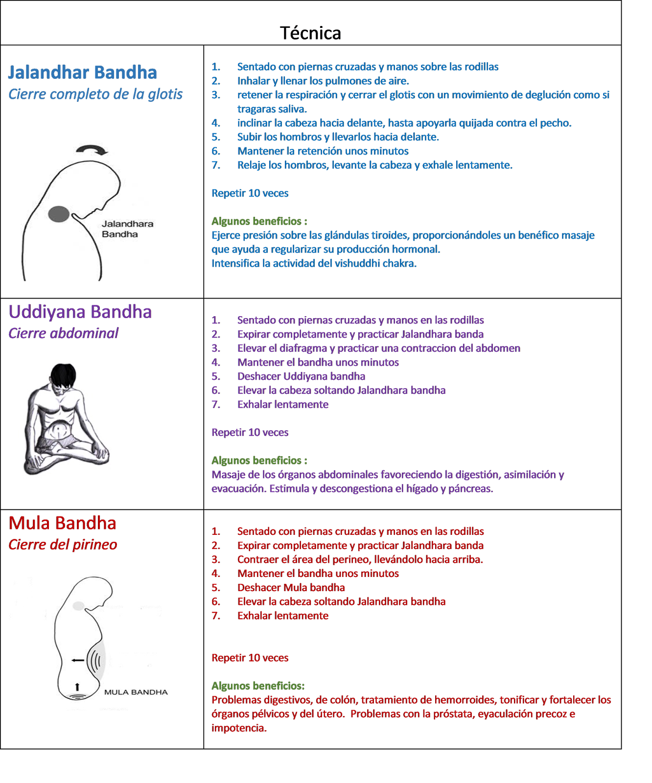 ¿Qué son los Bandhas? ~ Mi Yoga Om