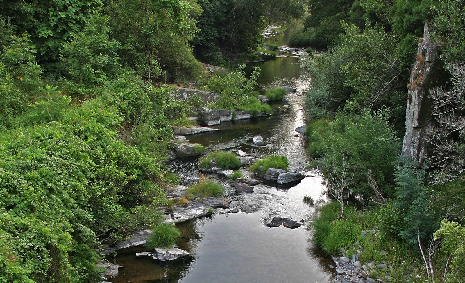 Ambiente Ondas3: Quais os responsáveis pela cheia súbita do rio Ceira?