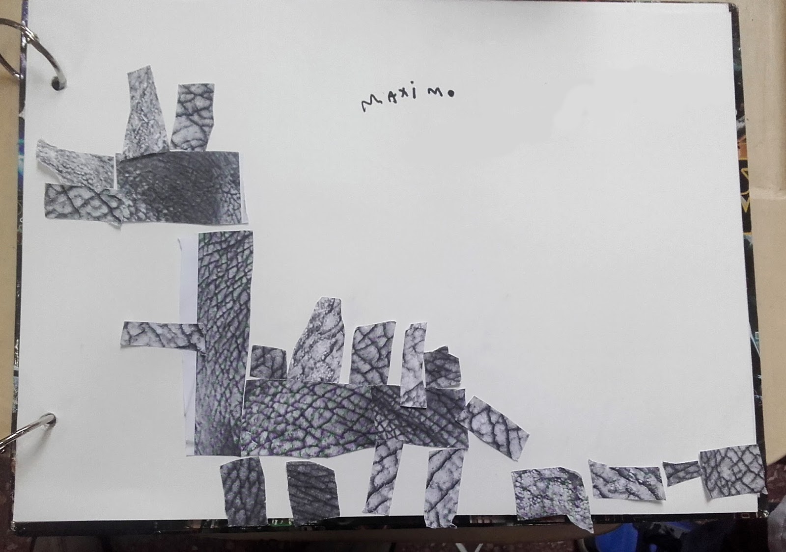 Sintonía Desplegable: TEXTURAS DE ANIMALES