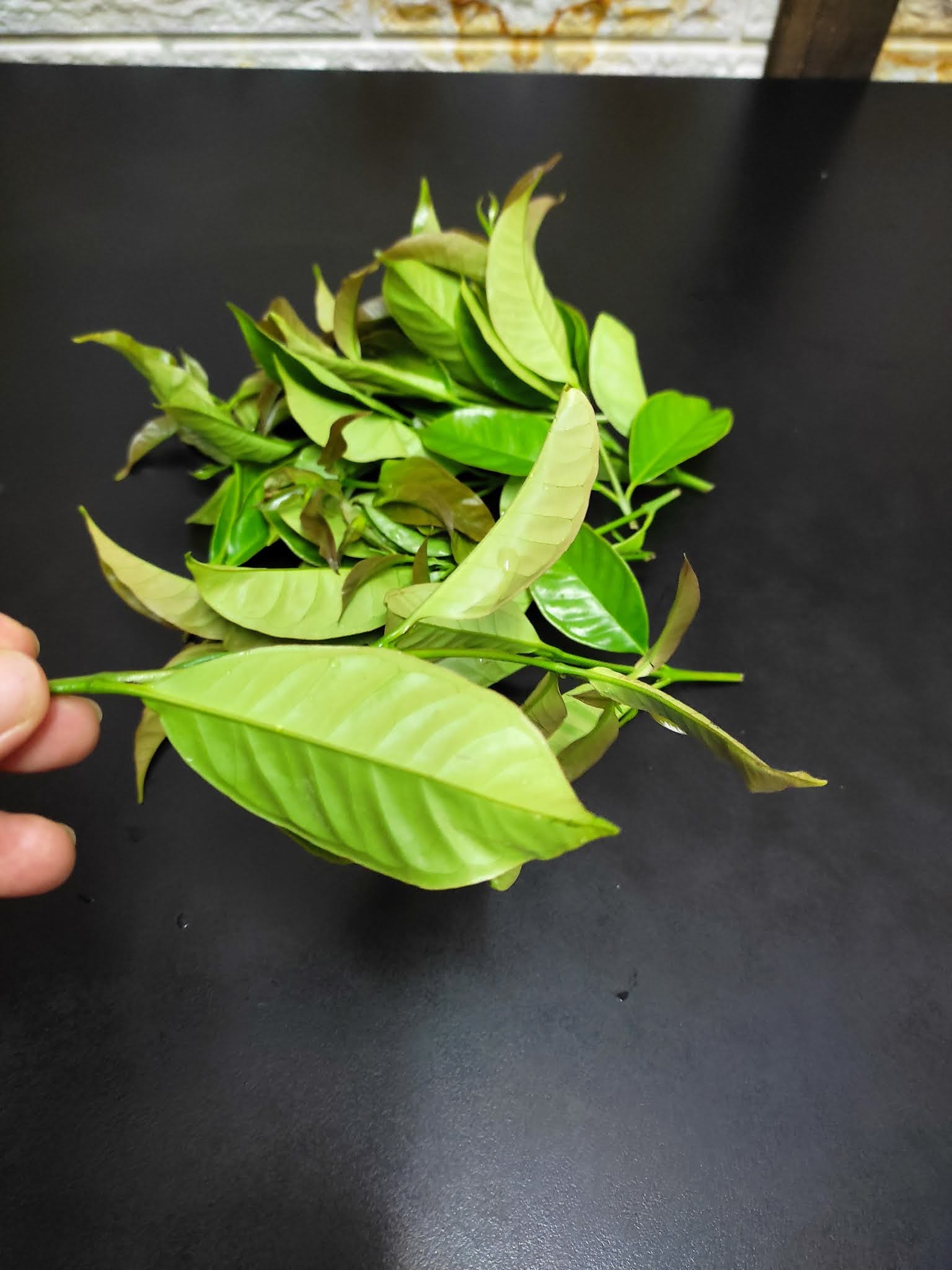 namakucella: NASI GORENG SARDIN & ULAM PUCUK SAMAK