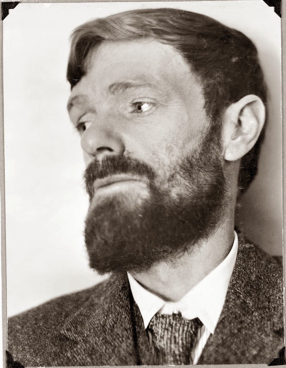 D. H. Lawrence