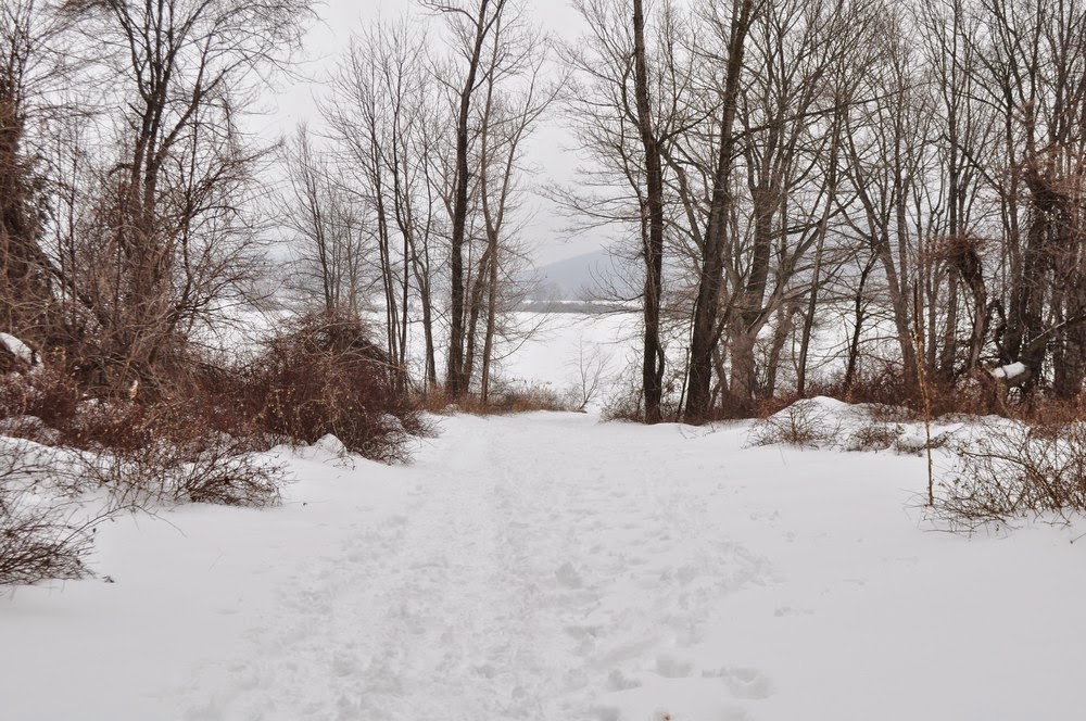 Harriman Hiker: Harriman State Park and Beyond: Frozen Lake Welch