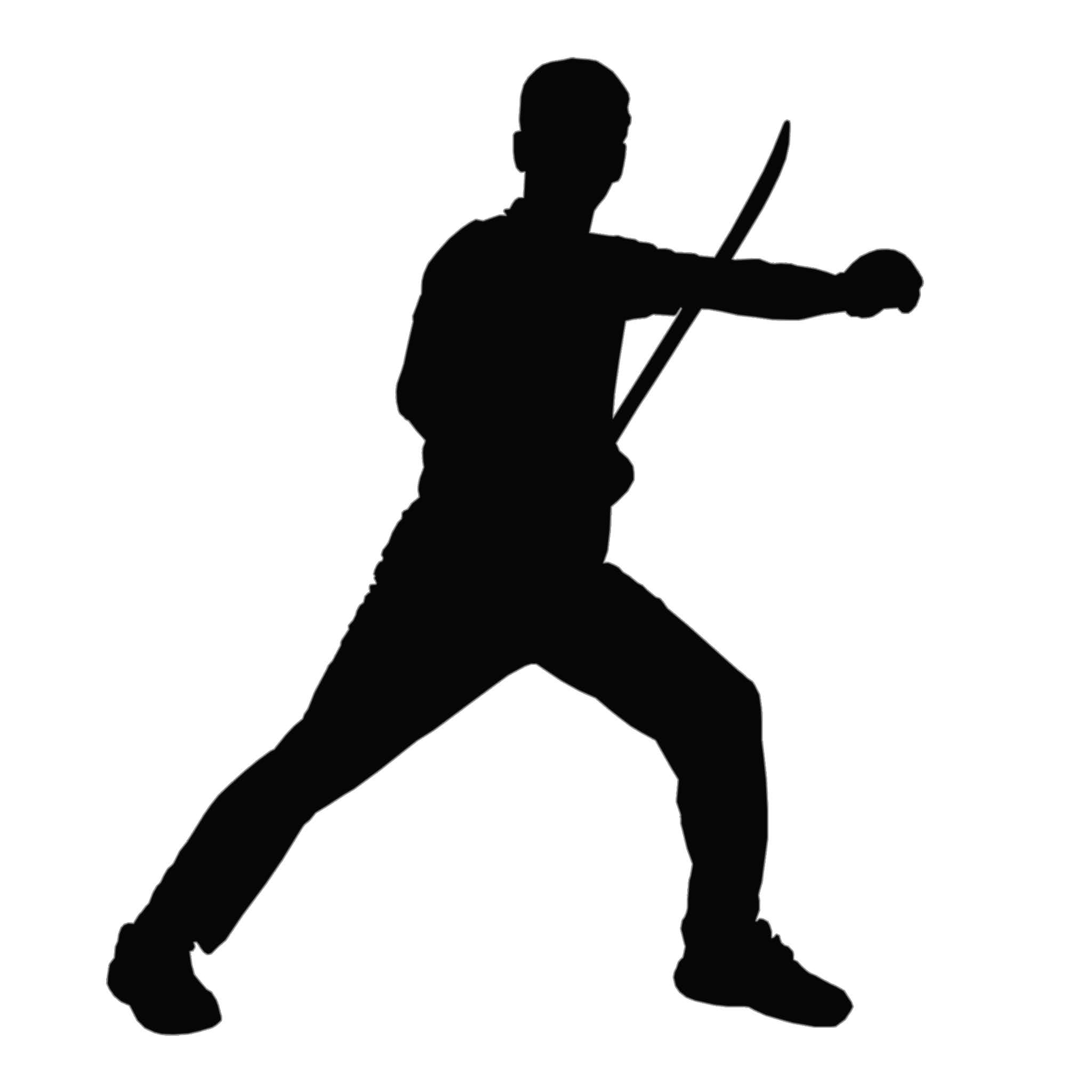 Panchabootha International Martial Arts Academy: Silambam Clipart , vector