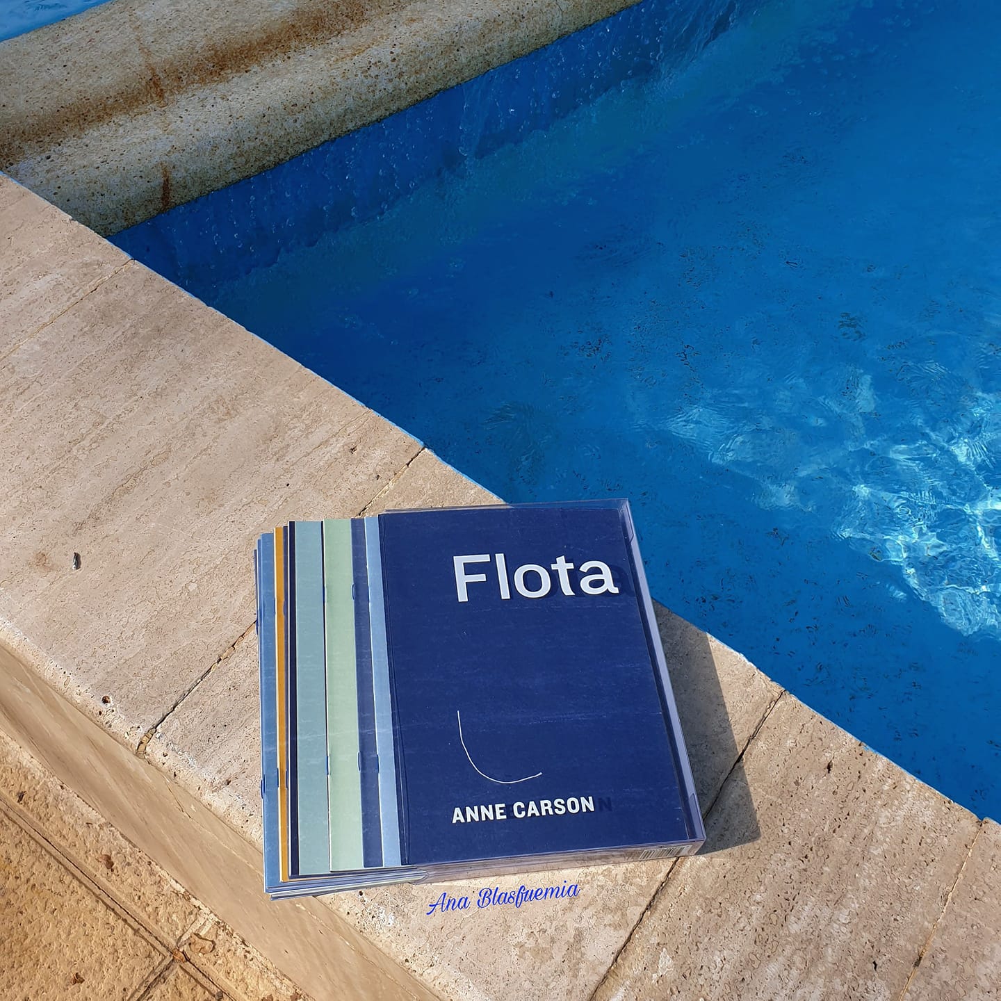 Lo que leo lo cuento: Flota (Anne Carson)