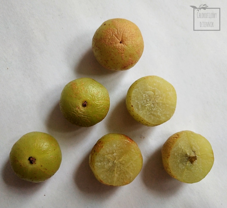 Indyjski agrest - owoce amla