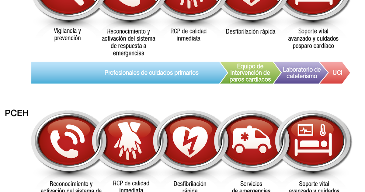 SOPORTE VITAL BÁSICO PARA ADULTOS Y CALIDAD DEL RCP: SOPORTE VITAL ...