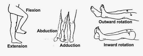lupita pardosi: Gerakan ROM (Range Of Motion) , Nursing :)