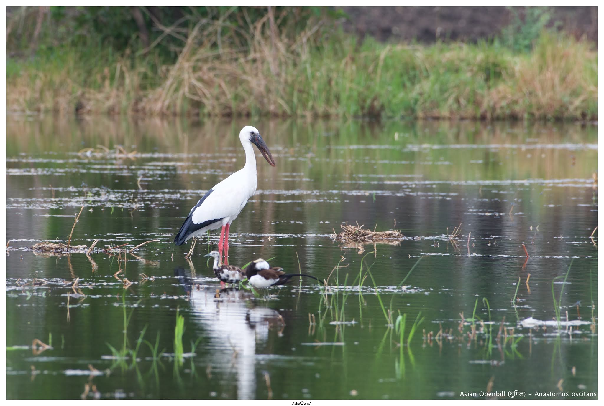 Location: Sanjivini Nagar, Jabalpur, India (Latitude: 23.172826 ...