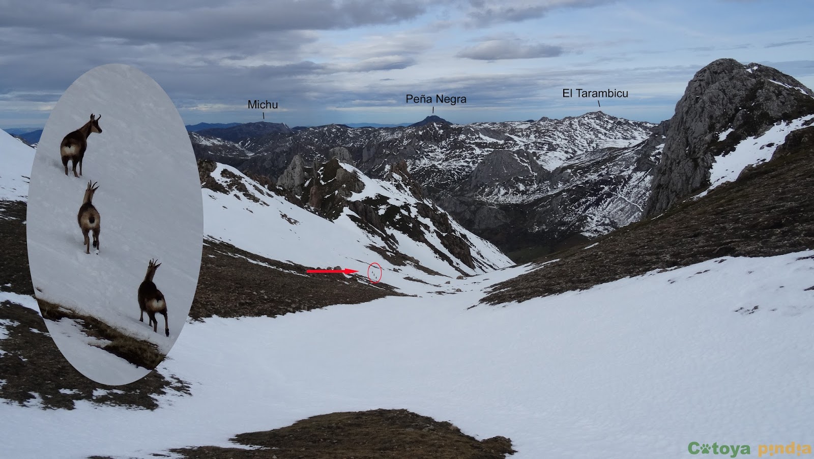 Peña La Paredina - Picos de la Mortera