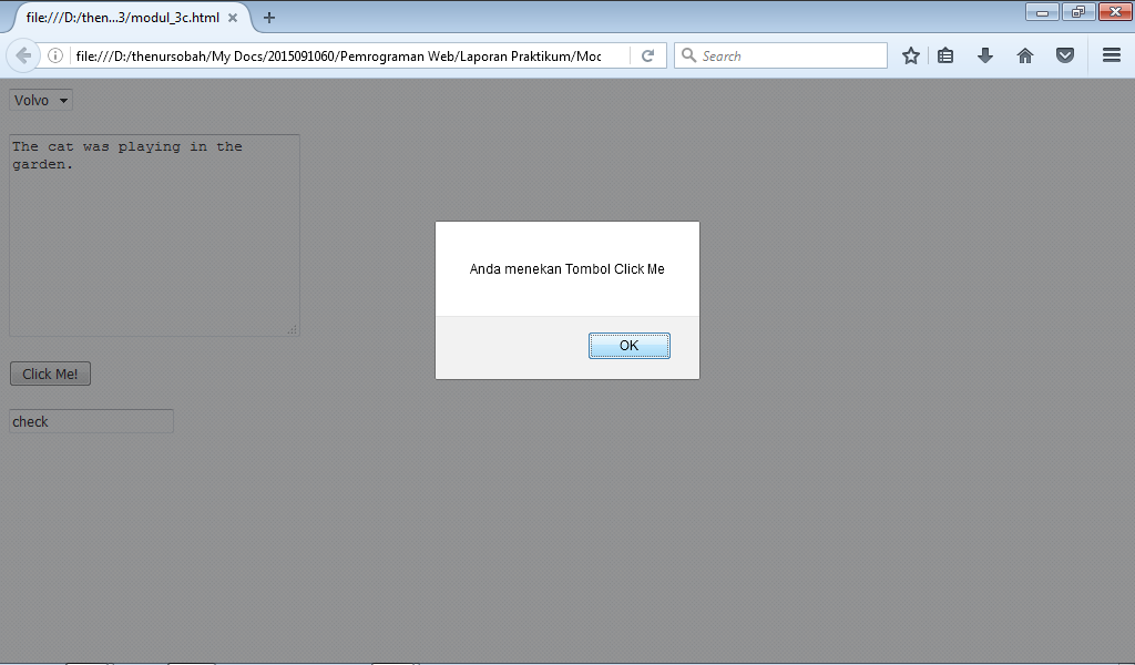 Laporan Praktikum Pemrograman Web 1 Modul 3 - jakanursobah