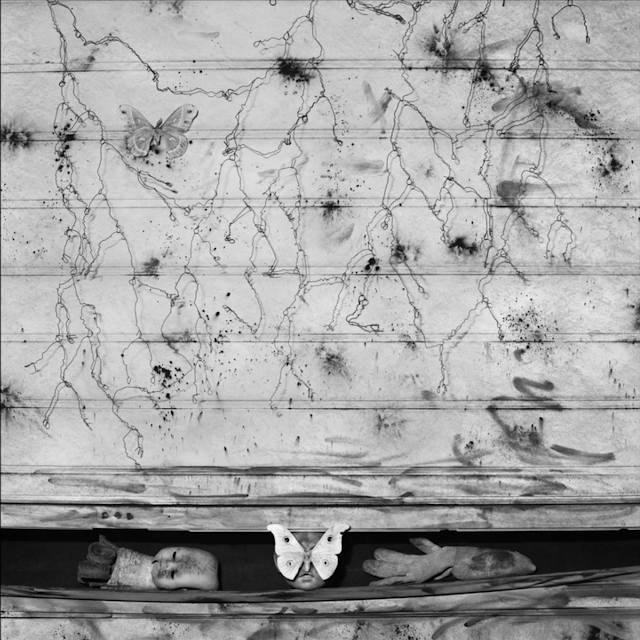 Anthony Luke's not-just-another-photoblog Blog: Photographer Profile ...