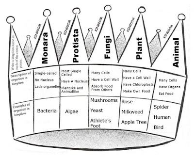 Net Japa: The five kingdoms
